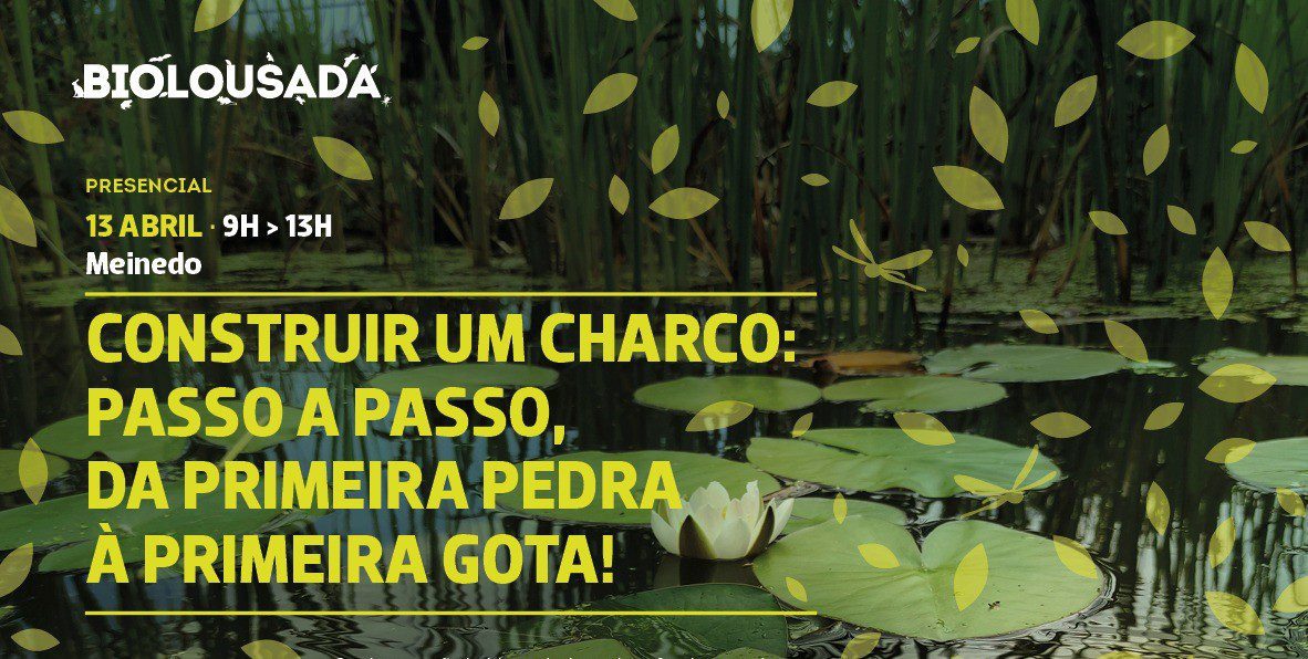 BioLousada | Construir um charco: passo a passo, da primeira pedra à ...