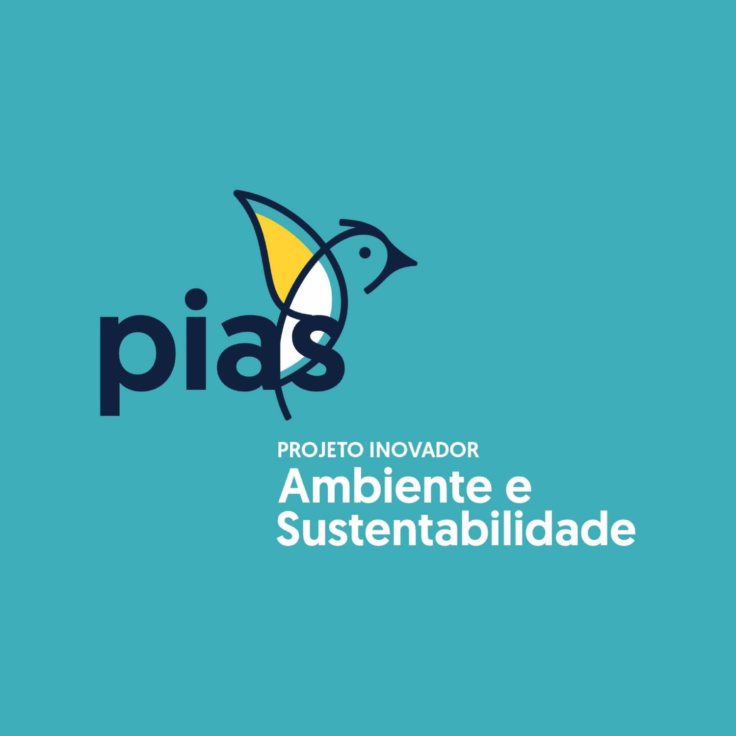 Vencedores do PIAS já são conhecidos - Jornal TVS